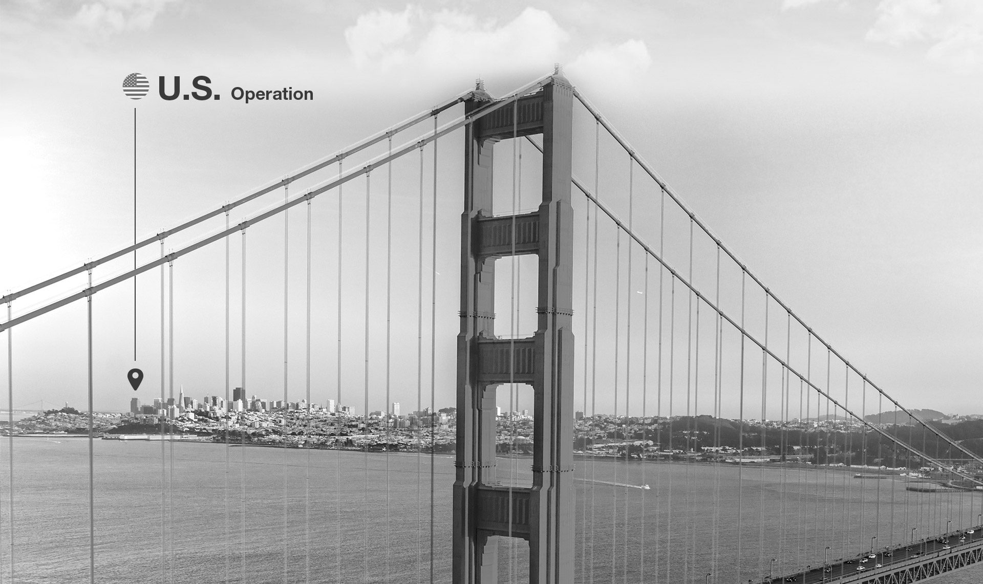 Integration in the USA - Integration Consulting